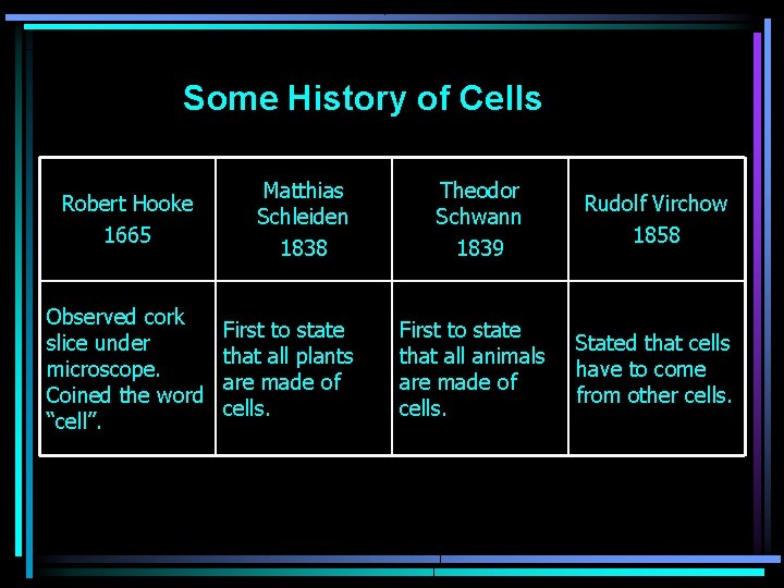 Cytology The Study of Cells Robert Hookes drawing
