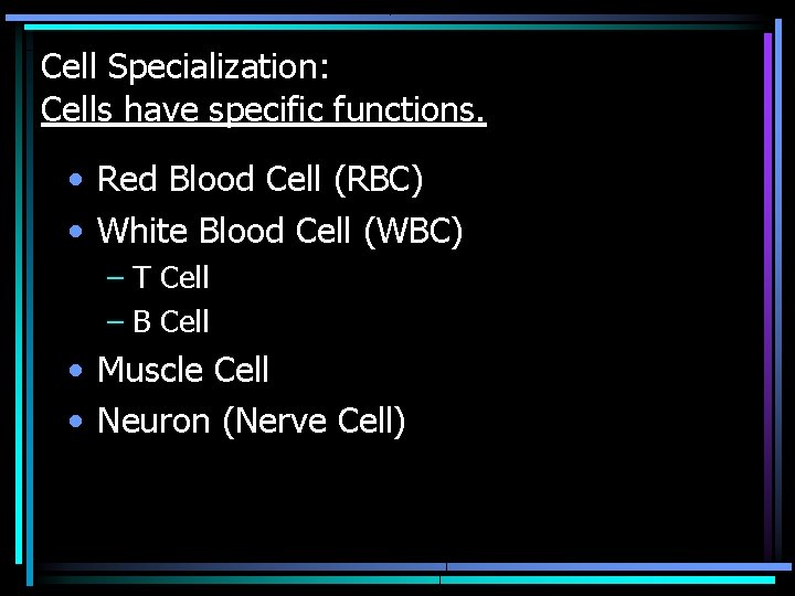 Cytology The Study of Cells Robert Hookes drawing
