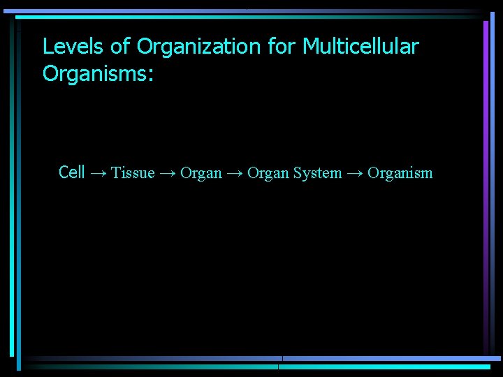 Cytology The Study of Cells Robert Hookes drawing