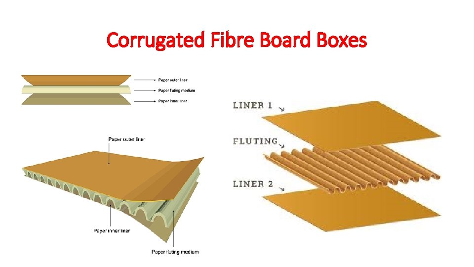 Carton Corrugated Fibre Board Subject Fish Packaging Technology