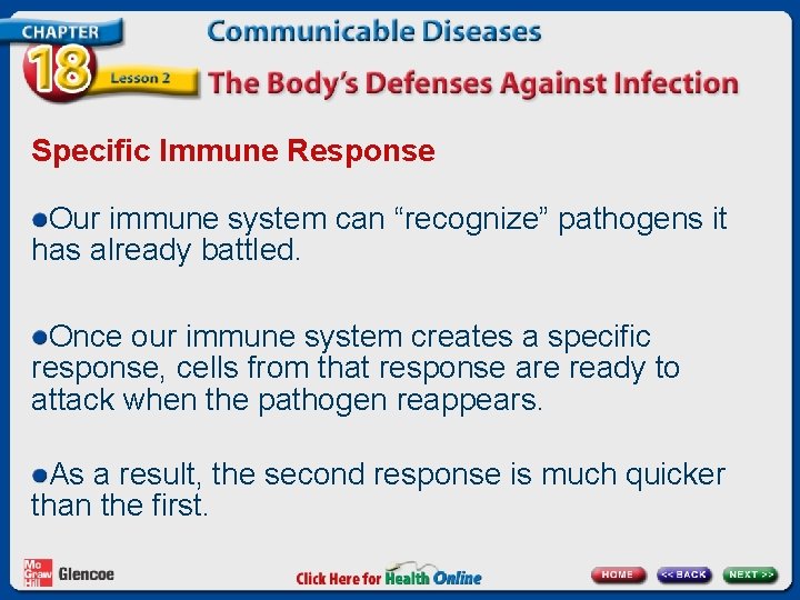 immune system A combination of body defenses made