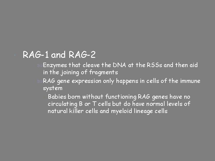 Chapter 6 Organization and Expression of Immunoglobulin Genes