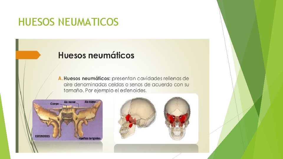 SISTEMA SEO CN A 5 1 2 Explorar