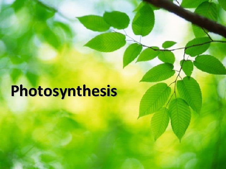 Photosynthesis Photosynthesis OB 48 Describe using a word