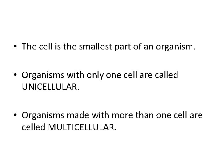 PLANT AND ANIMAL CELLS JANUARY 3 2017 BIOLOGY