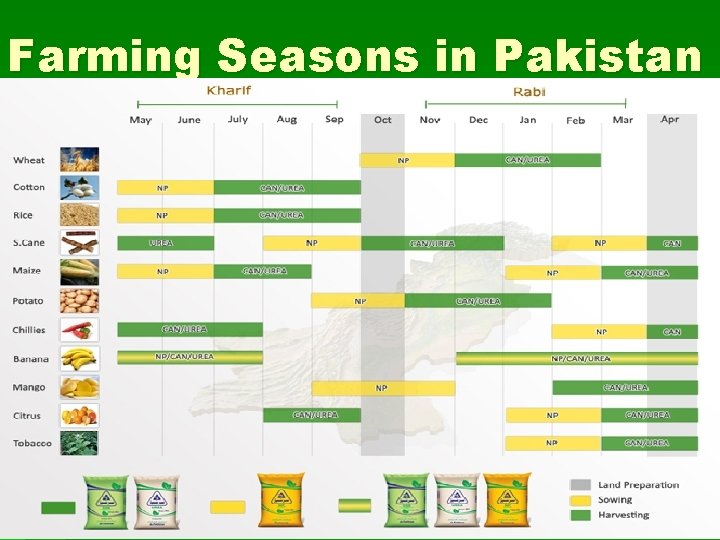 AGRICULTURE Prepared by Ms Erum Fatima Definition Agriculture
