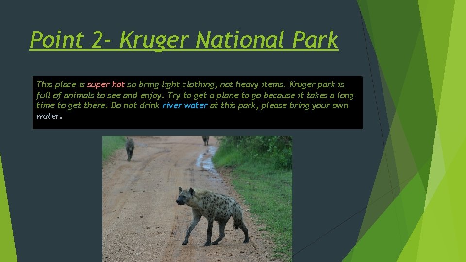 Animal Land By Alexander Akhil The Map of