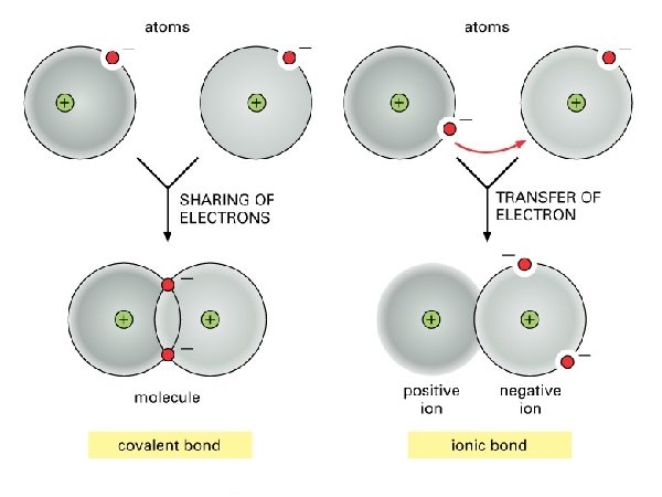 Covalent Bonding Learning to Cooperate describe a covalent