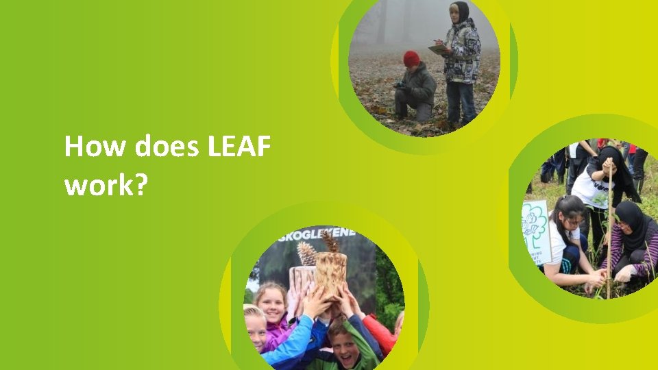 General Overview LEAF Programme Presentation About FEE One