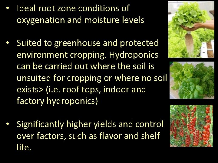 Introduction to Hydroponics What is Hydroponics Hydroponics is