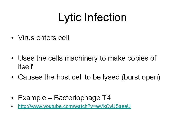 Virus Notes T 4 Bacteriophage Tobacco Mosaic Virus