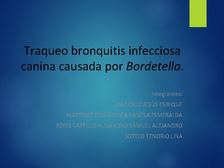 Traqueo bronquitis infecciosa canina causada por Bordetella Integrantes