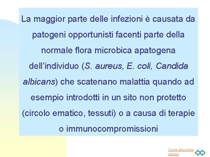 Meccanismi di patogenesi batterica Le tappe del processo