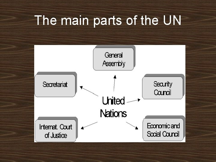 United Nations The United Nations is an international