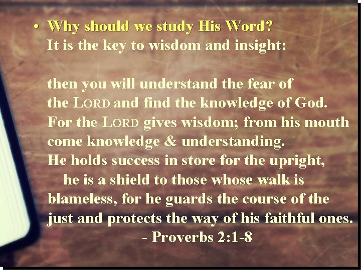 How to Study the Bible Week 1 Why