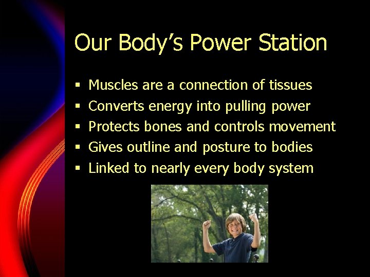 Interactions Between the Muscular and Five Other Systems