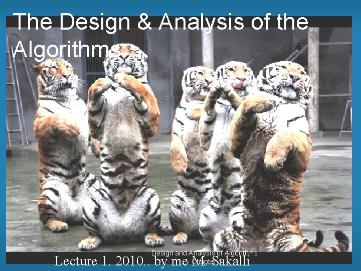 The Design Analysis of the Algorithms Design and