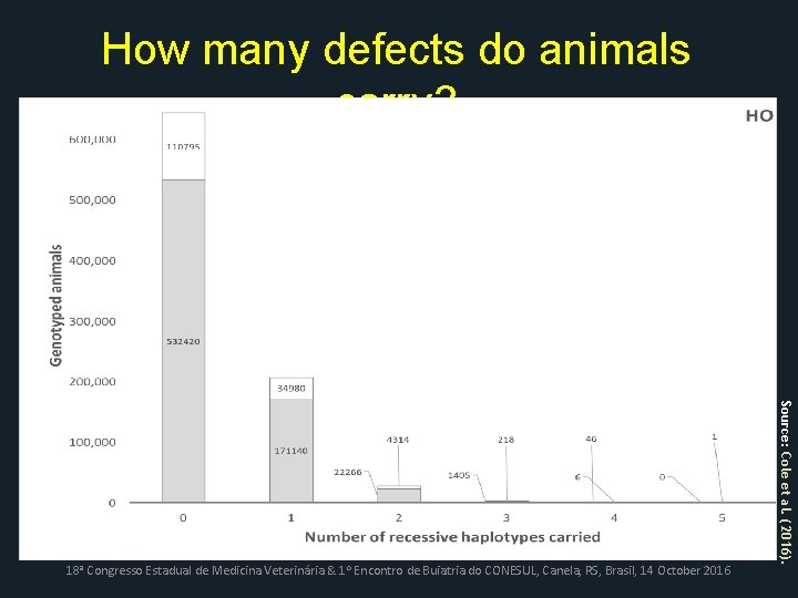 Strategies for managing genetic disorders in dairy cattle