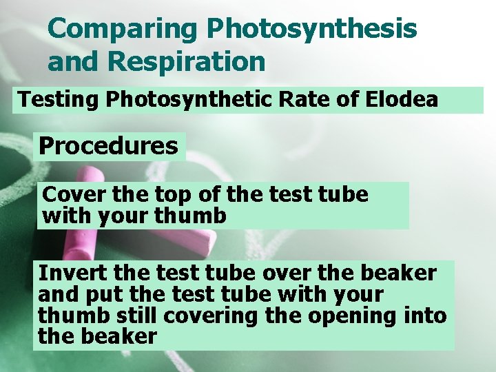Comparing Photosynthesis and Respiration The most important chemical