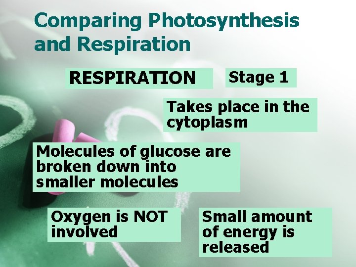 Comparing Photosynthesis and Respiration The most important chemical