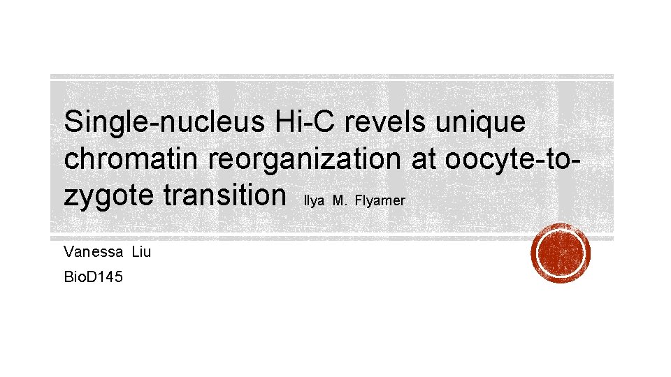 Singlenucleus HiC revels unique chromatin reorganization at oocytetozygote
