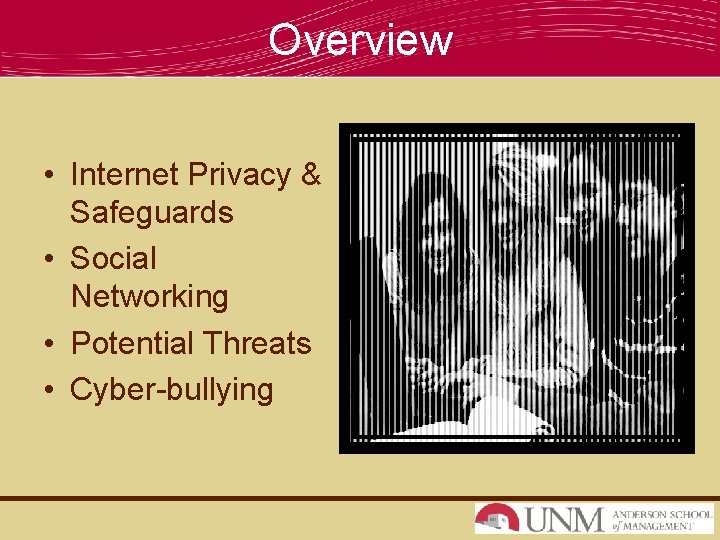 Overview Internet Privacy Safeguards Social Networking Potential Threats