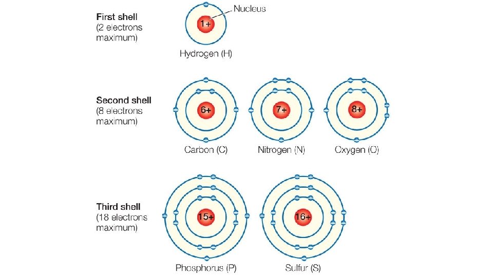 13 4 NOTES Petroleum and Chemical Bonding Petroleum