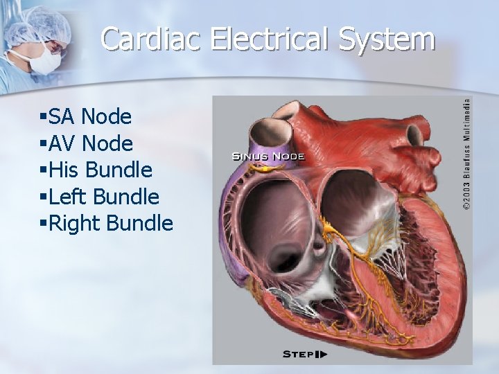 When Catheter Ablation Should Be First Line Therapy