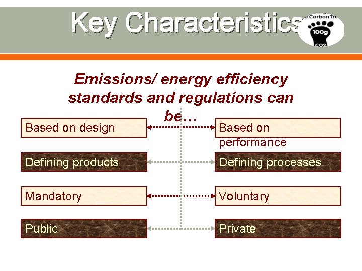 Role of the MTS in promoting coherence between