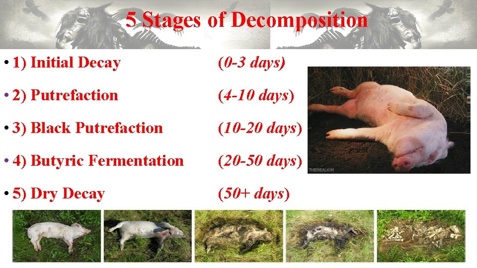 Death What is Death Death is a process