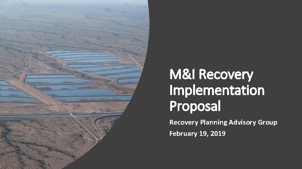 MI Recovery Implementation Proposal Recovery Planning Advisory Group