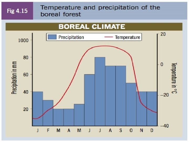Cold Climates Boreal lands Mr Boland Geography n