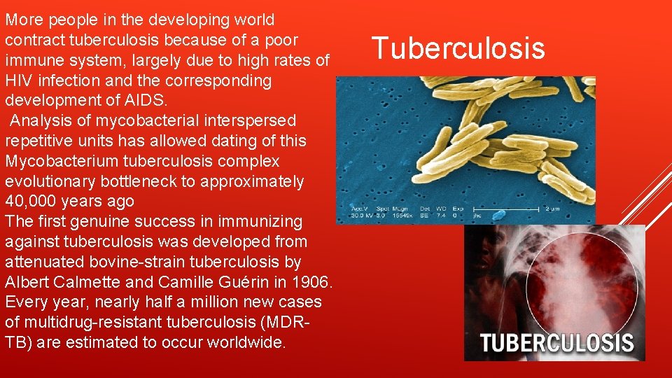 DISEASES IN THE 20 TH CENTURY By Mohamed