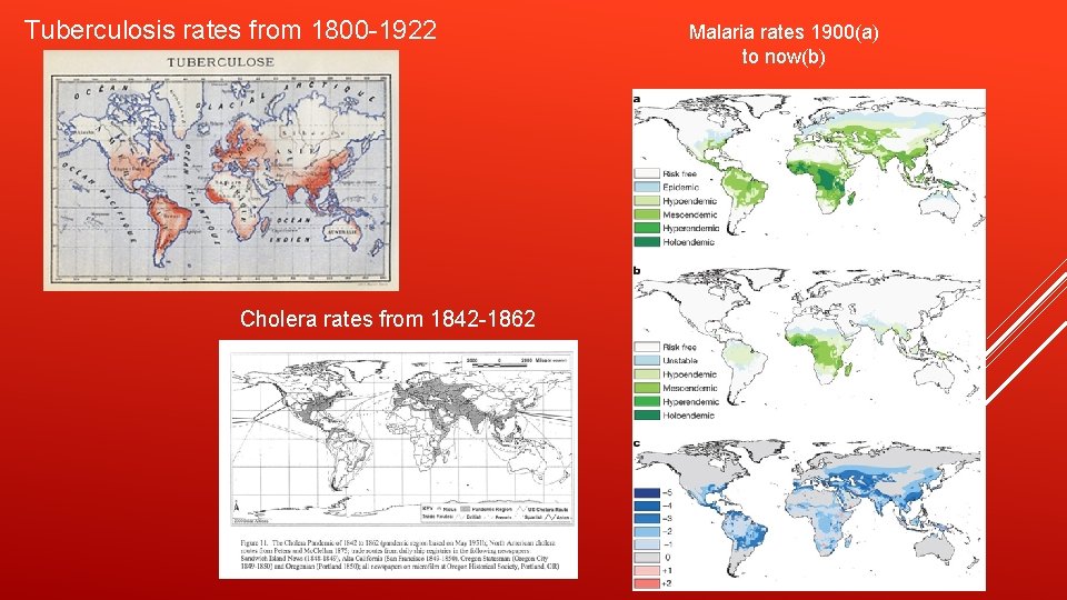 DISEASES IN THE 20 TH CENTURY By Mohamed
