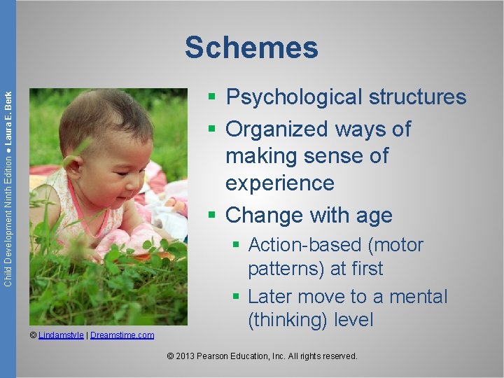 Child Development Ninth Edition Laura E Berk Chapter