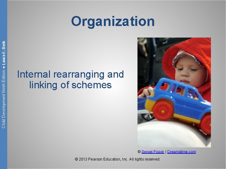 Child Development Ninth Edition Laura E Berk Chapter