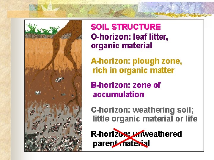 Bodem Par 3 2 Aarde Systeem aarde 4
