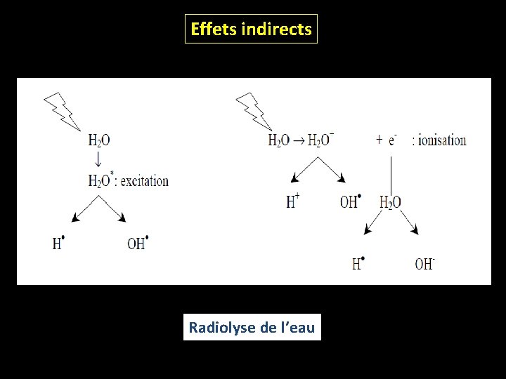 LES EFFETS BIOLOGIQUES RAYONNEMENTS IONISANTS Dr MRANI ZENTAR