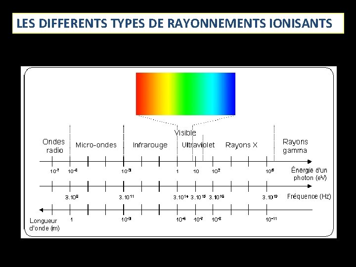 LES EFFETS BIOLOGIQUES RAYONNEMENTS IONISANTS Dr MRANI ZENTAR