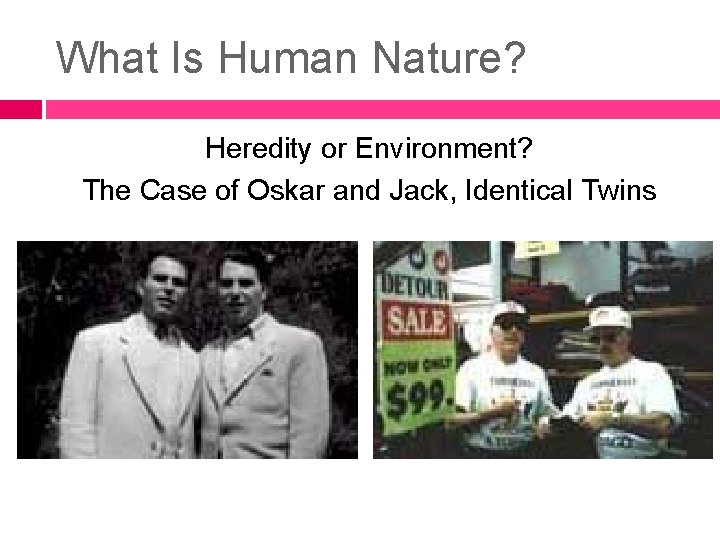 SOCIALIZATION Chapter 3 Mrs Madison What Is Human