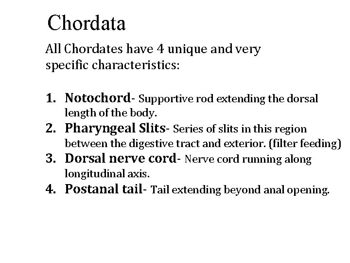 Chordata All Chordates have 4 unique and very