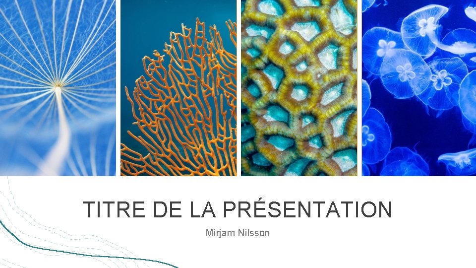 TITRE DE LA PRSENTATION Mirjam Nilsson ORDRE DU