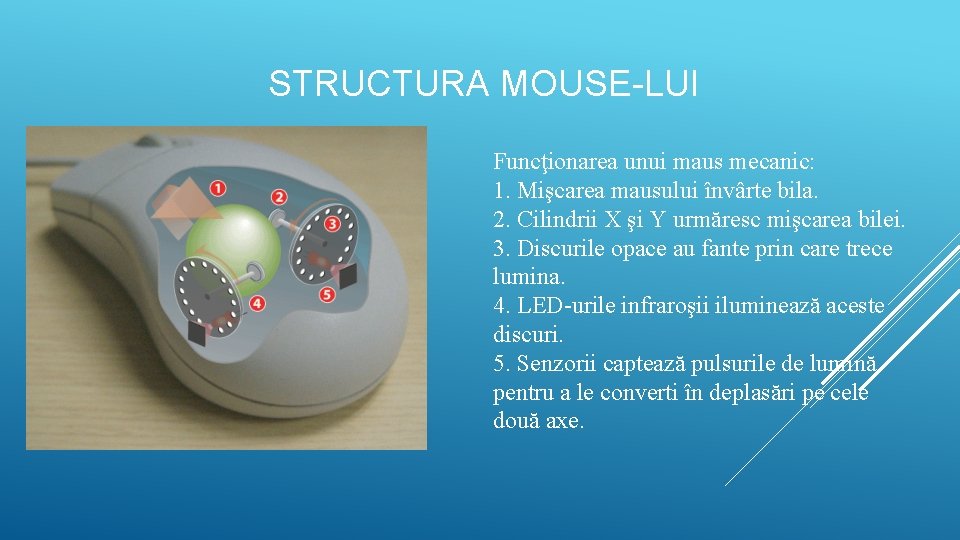 TIPURI DE MOUSE Efectuat Gojan Corina Dubin Patricia