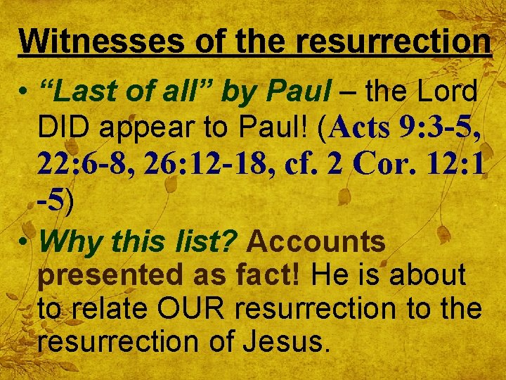 Studies in 1 Corinthians 53 One born out