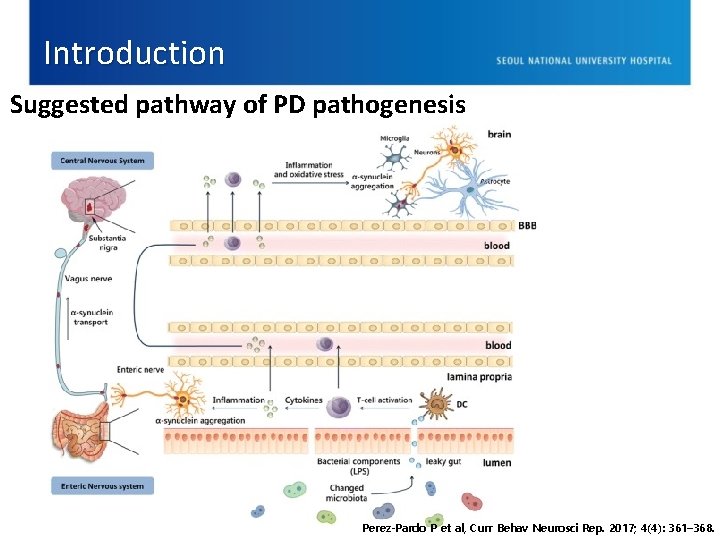 Gut Microbiota and Parkinsons disease PD 2019 04