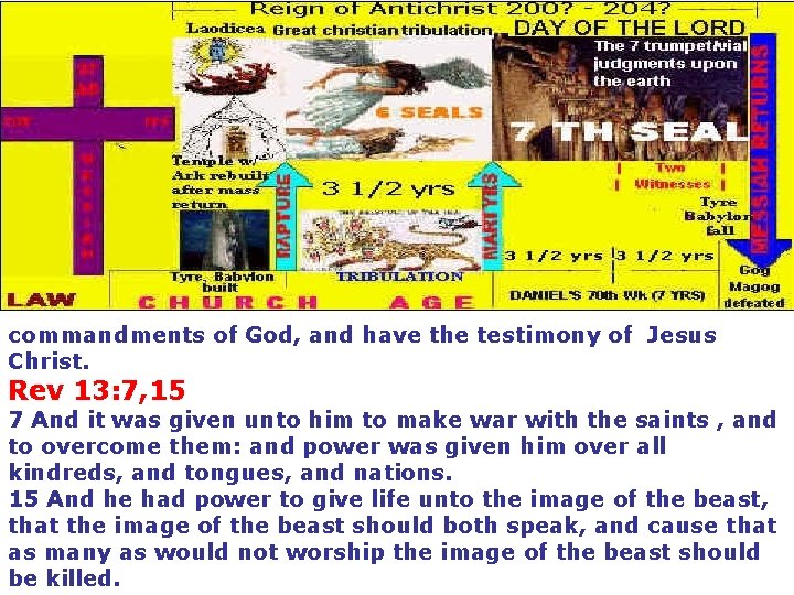 Tribulation Martyrs Raised During the 3 12 years