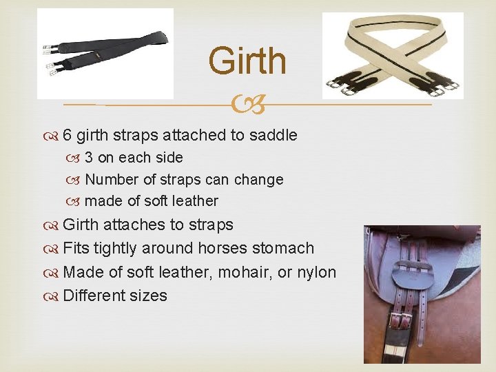 English Saddles By Ariel Morgan B 8 History