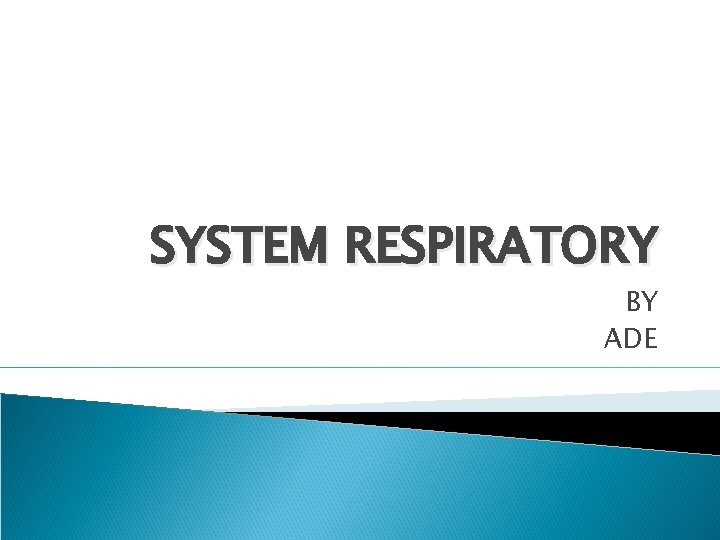 SYSTEM RESPIRATORY BY ADE Menjelaskan struktur dan fungsi
