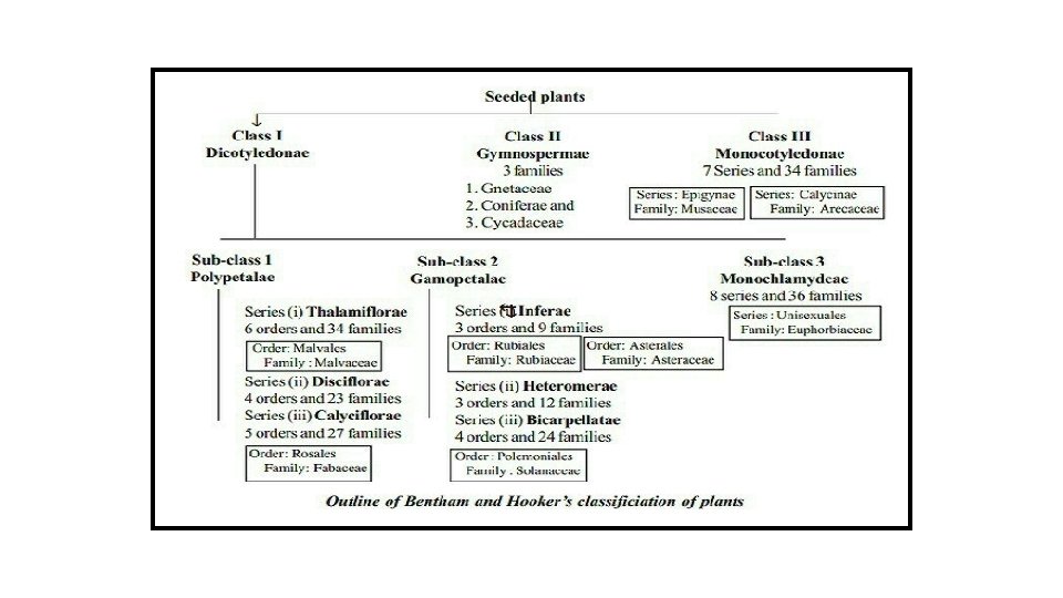 UNITII Plant Taxonomy q General outline of Bentham