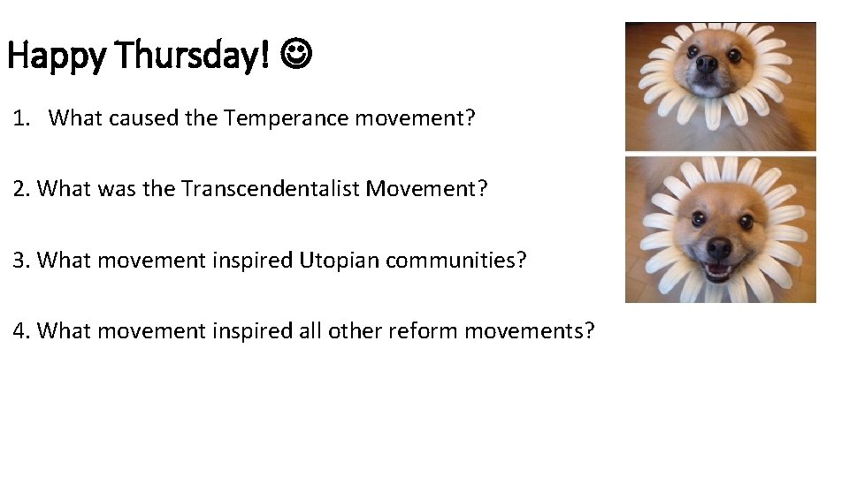 Happy Thursday 1 What caused the Temperance movement